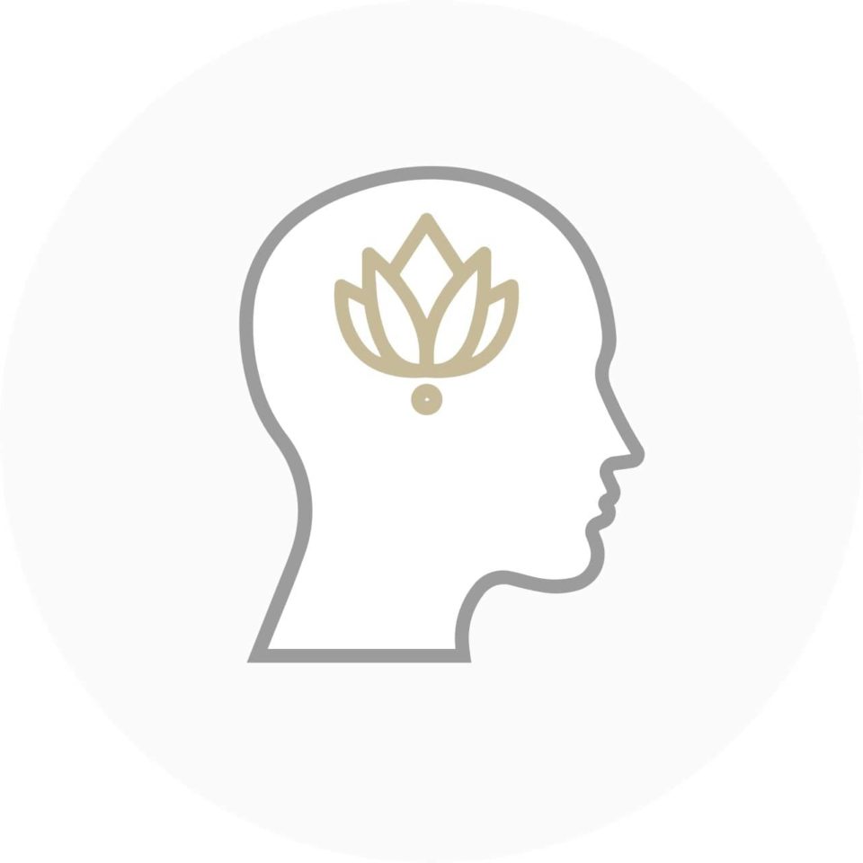 Hahn & Loewe: Holistic thinkers, (courageous horizon expanders) with ...